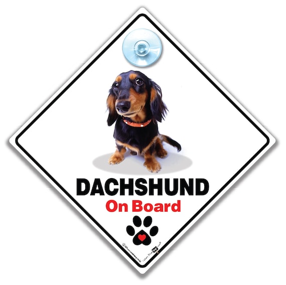 Novelty Car Window Decal For Dogs For Dogs | 14cm X 14cm Suction Cup ...