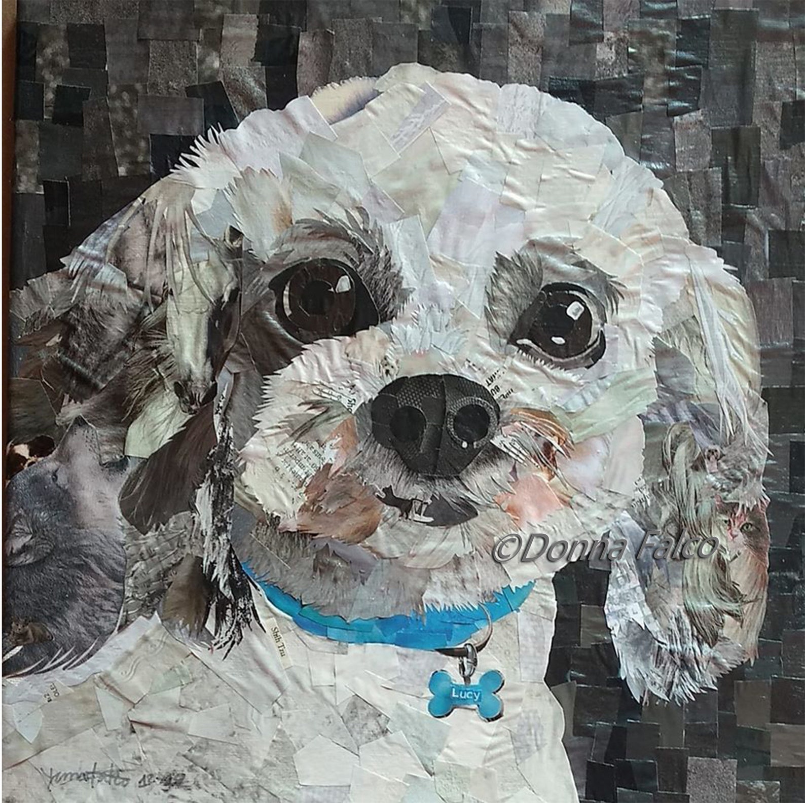 White Shih Tzu Art Print, Coton De Tulear Wall Art, Shih Tzu Pet Gift ...