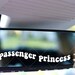 Passenger Princess Svg, Car Decal Svg, Wavy Svg, Trendy Wavy Svg ...