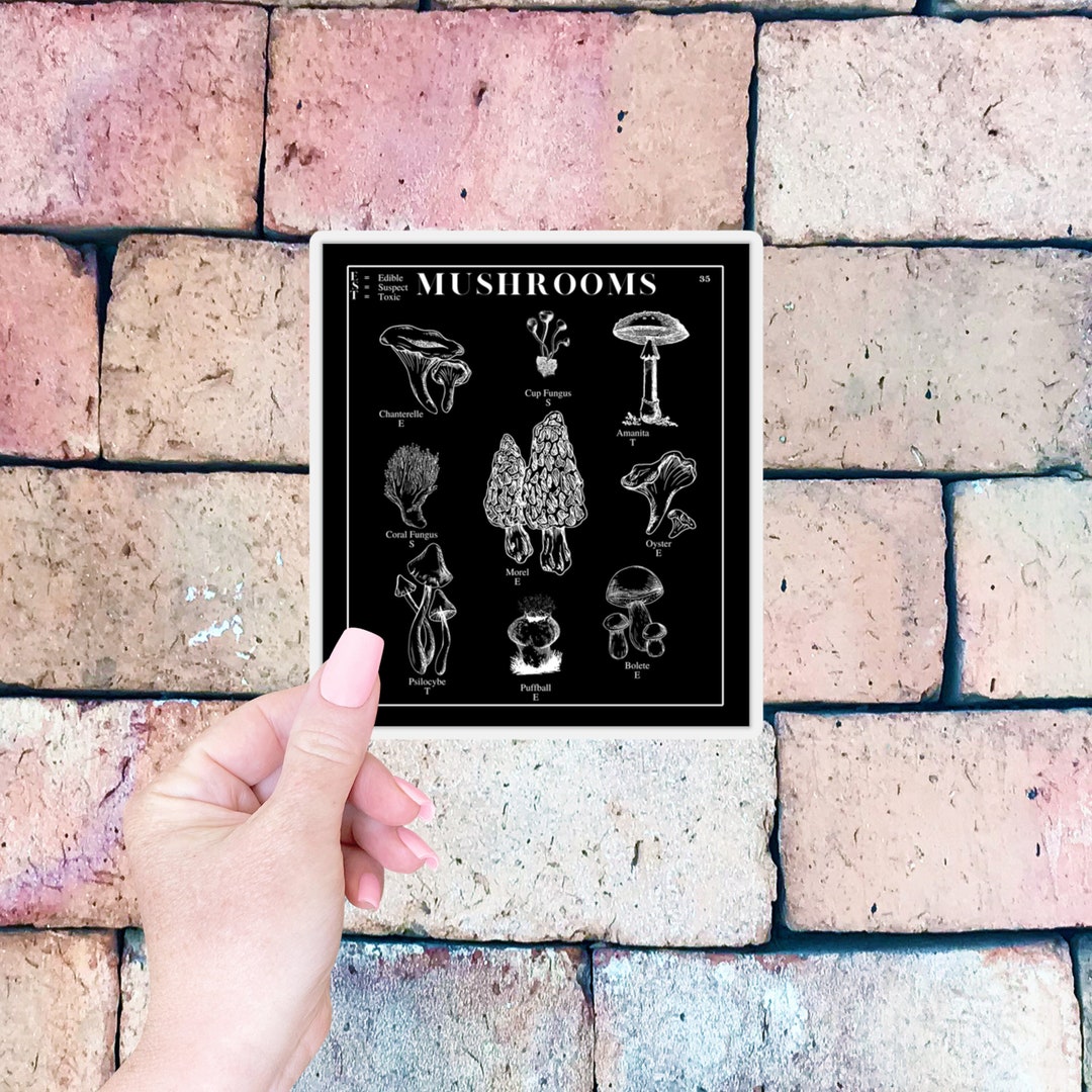 Boho Fungi Forest Sticker, Personalized Stickers for Water Bottles and ...