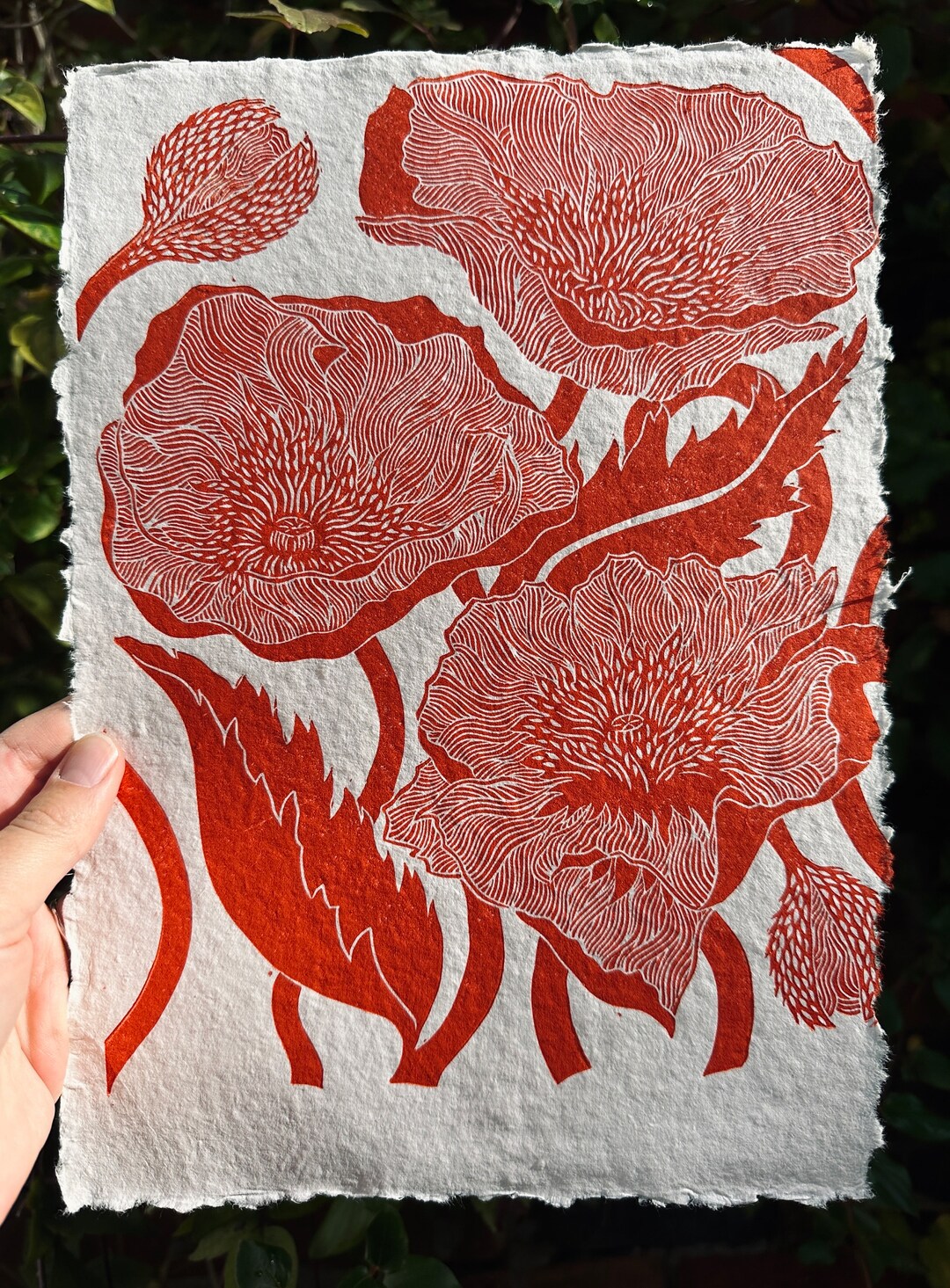 Poppies in Red (on Handmade Paper) - Etsy
