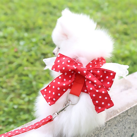 Red and White Polka Dot Pet Vest with Matching Leash for cats | Etsy