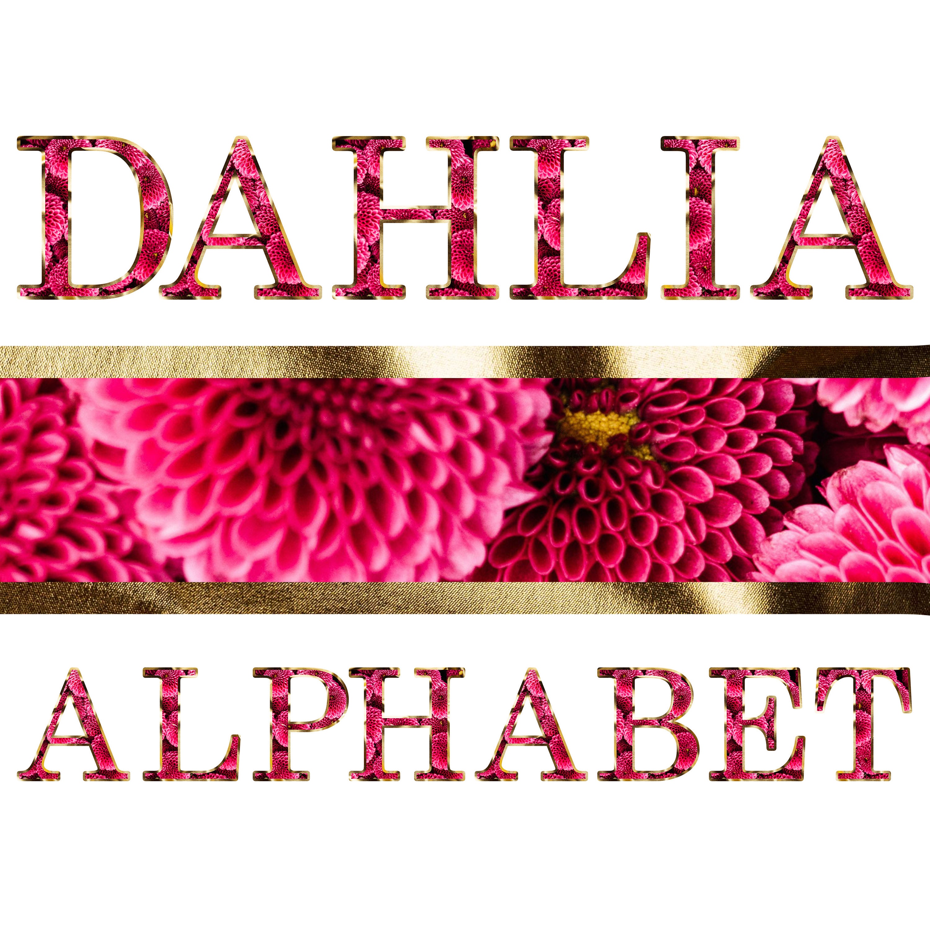 Dahlia Alphabet Clipart Scrapbooking Digital Set Printable - Etsy