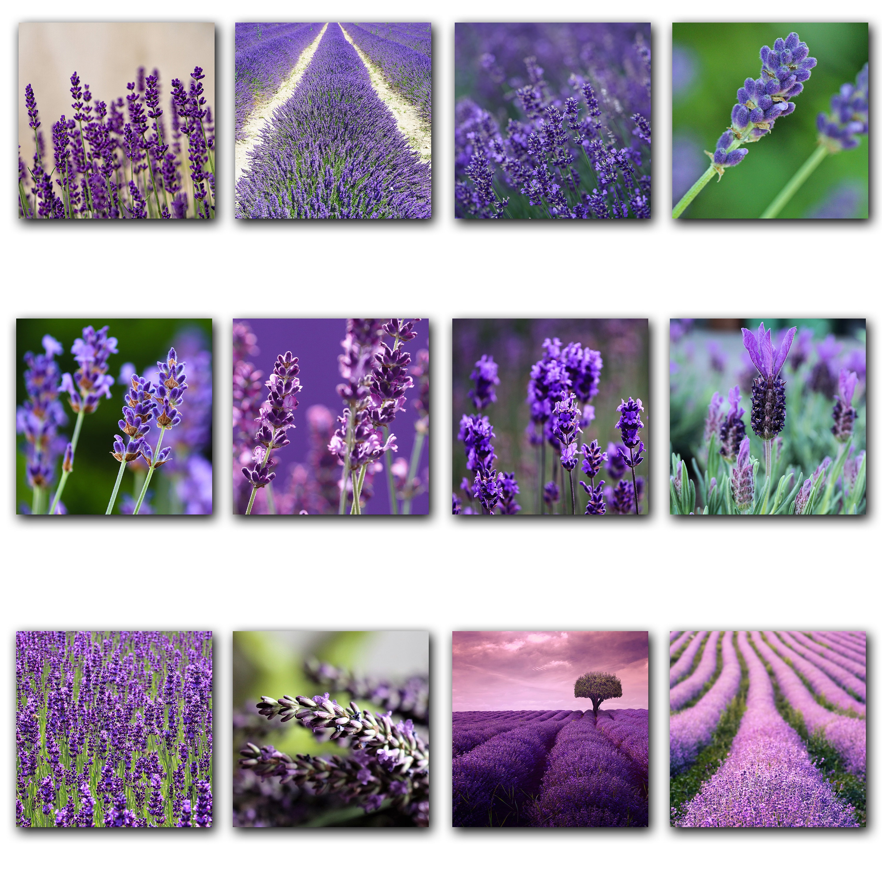 Lavender Digital Scrapbook Printable Paper Digital Paper | Etsy