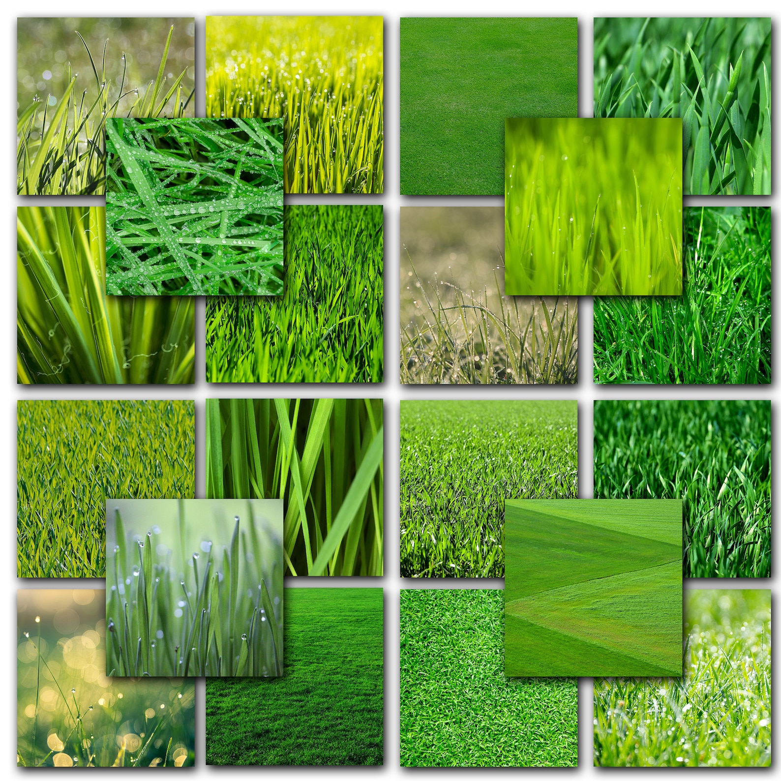 Grass Digital Scrapbook Printable Paper Digital Paper | Etsy