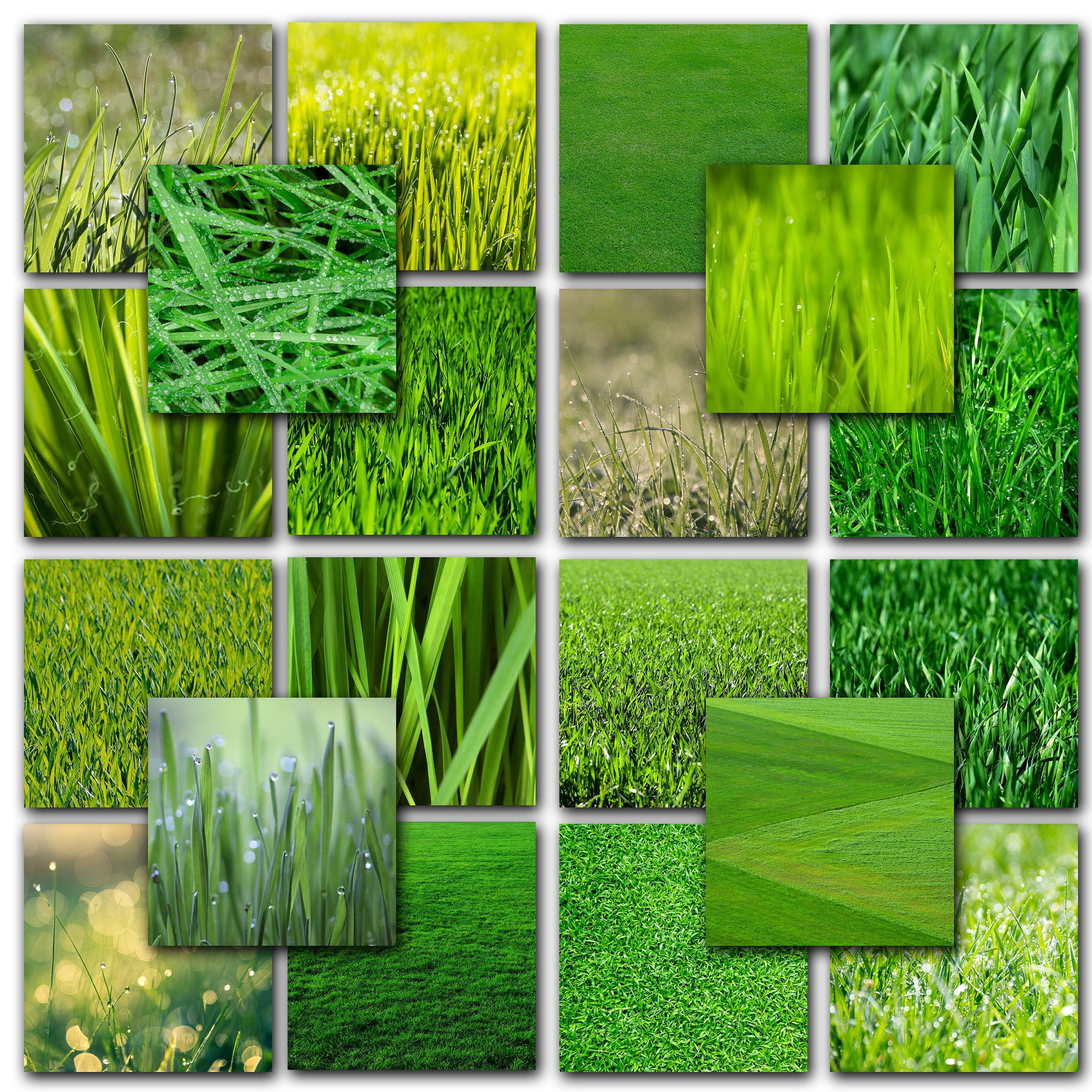 Grass Digital Scrapbook Printable Paper | Digital Paper | Green | Lawn ...