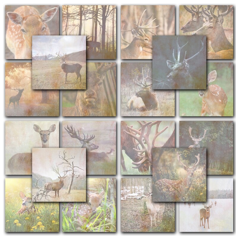 Deer Digital Scrapbook Printable Paper Digital Paper Deers - Etsy