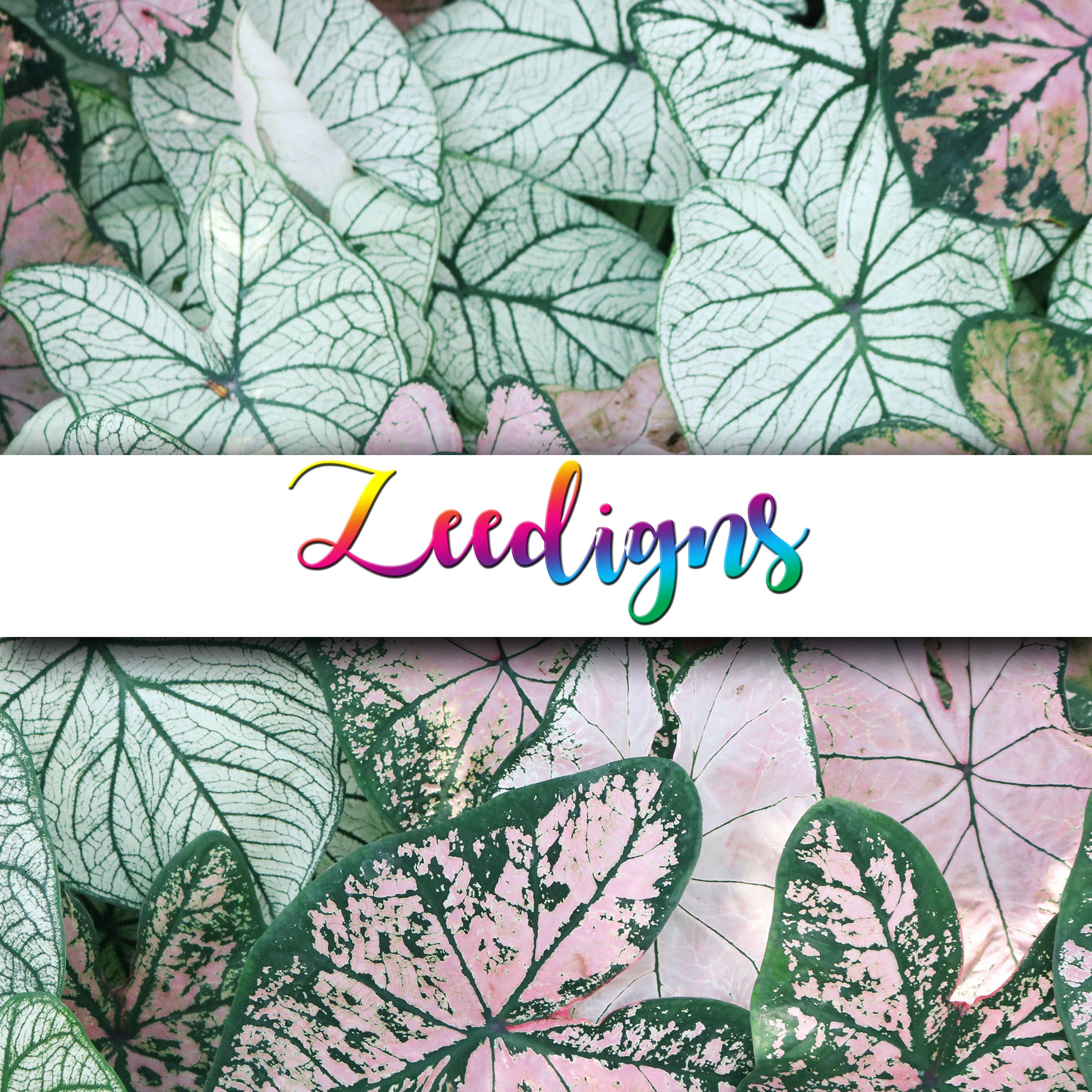 Leaves Digital Scrapbook Printable Paper Digital Paper - Etsy
