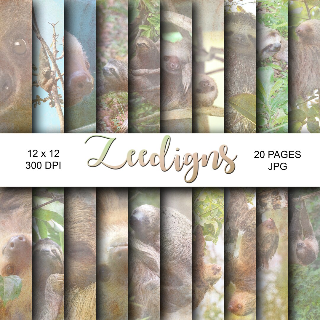 Sloth Digital Scrapbook Printable Paper Digital Paper - Etsy