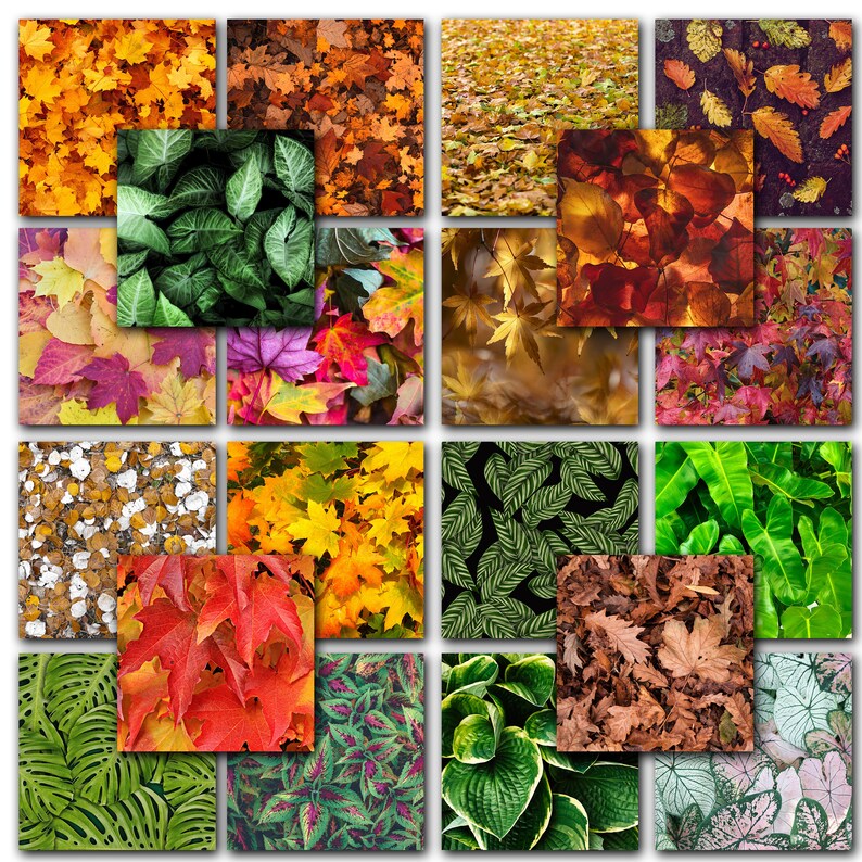 Leaves Digital Scrapbook Printable Paper Digital Paper - Etsy