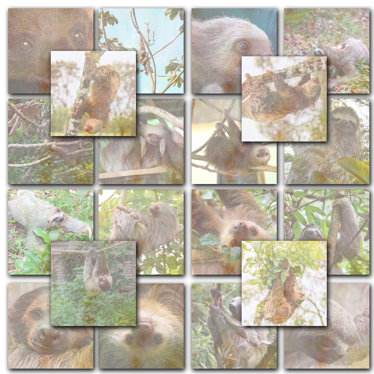 Sloth Digital Scrapbook Printable Paper Digital Paper - Etsy