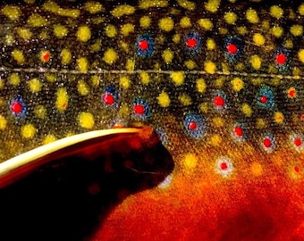 Brook Trout Skin Art - Etsy