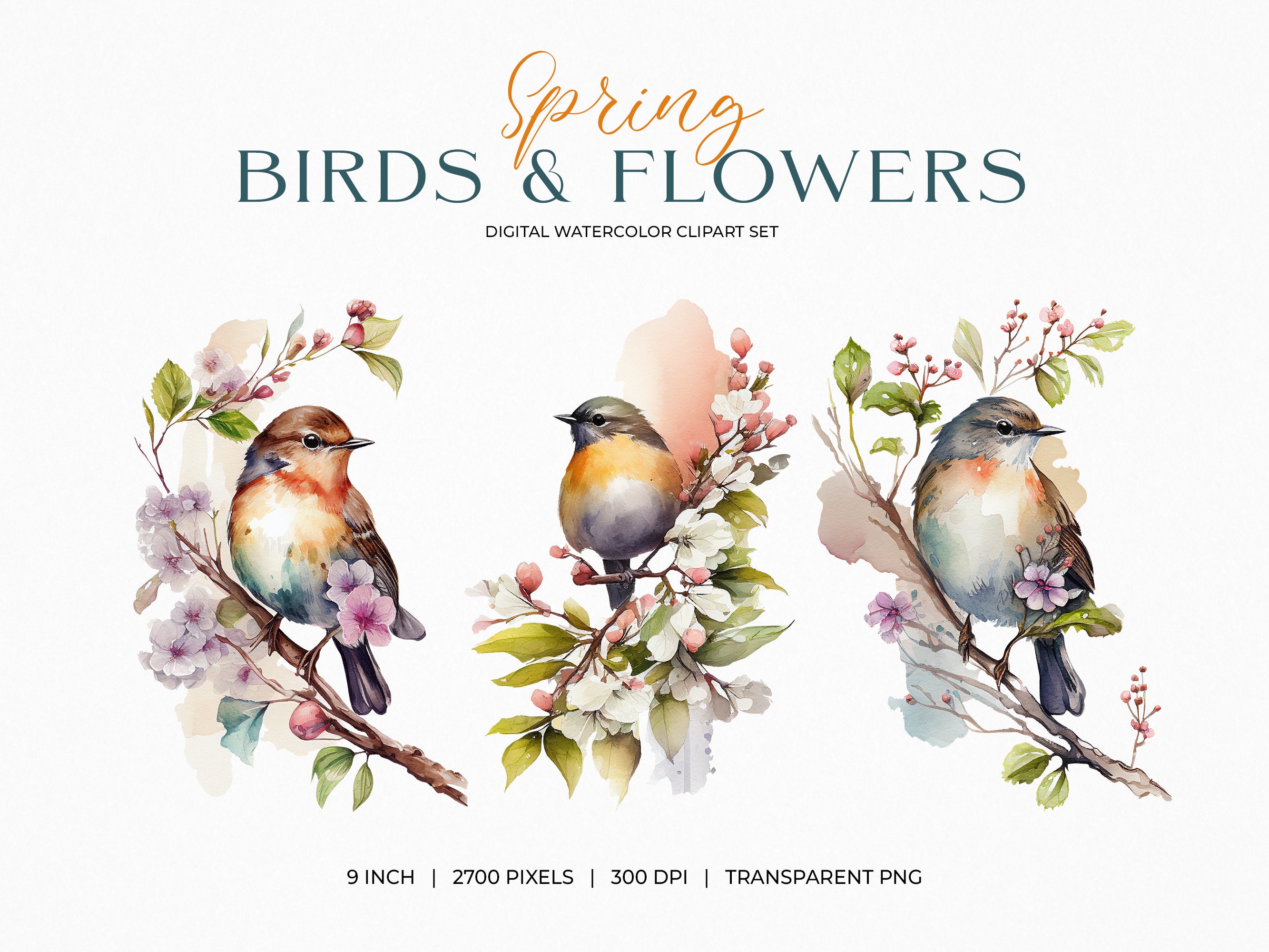 Spring Birds And Flowers Clipart