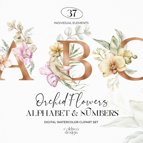 Letters and Numbers Watercolor Floral Alphabet Wedding - Etsy