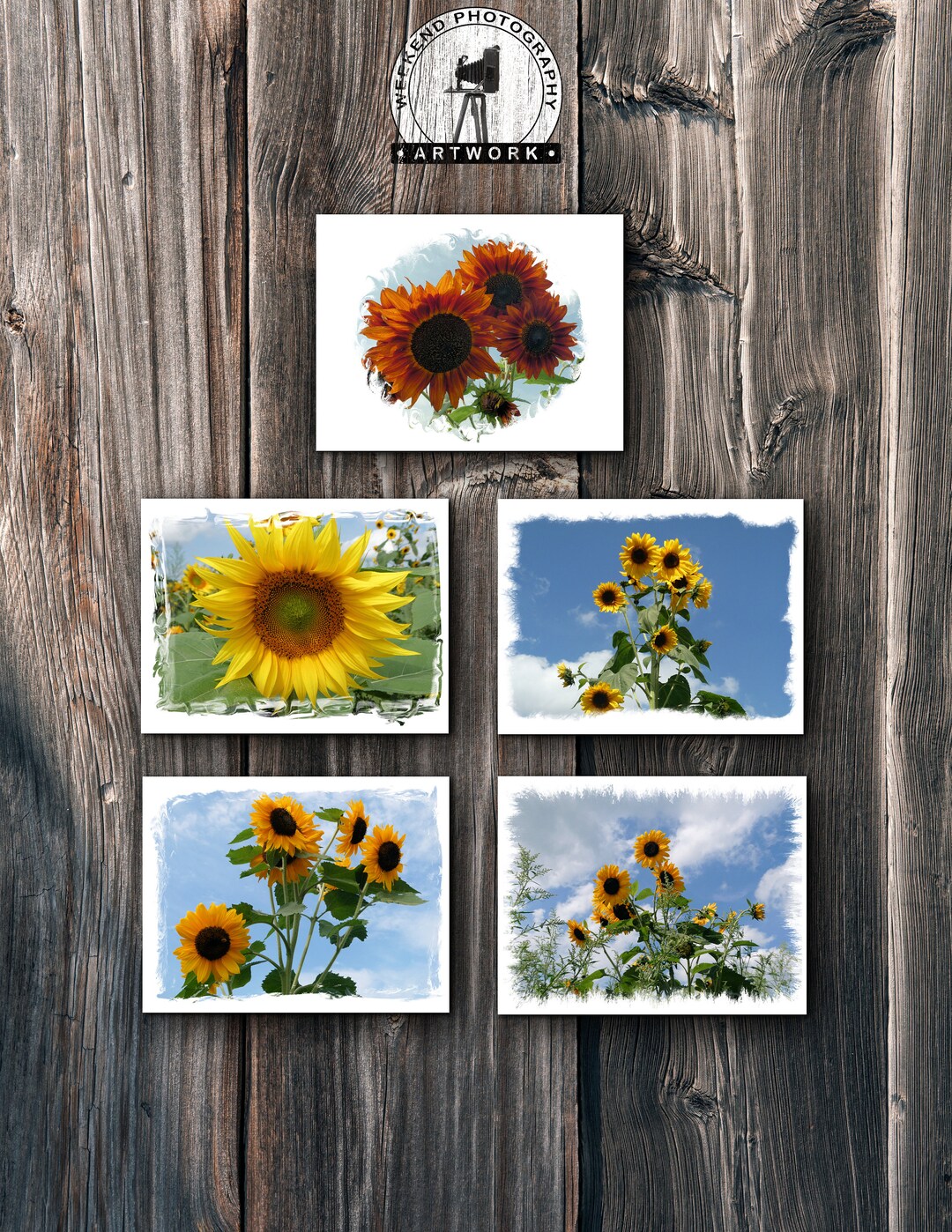 Note Cards, Sunflowers, Sunflower, Flowers, Note Card Set, Flower Gifts ...