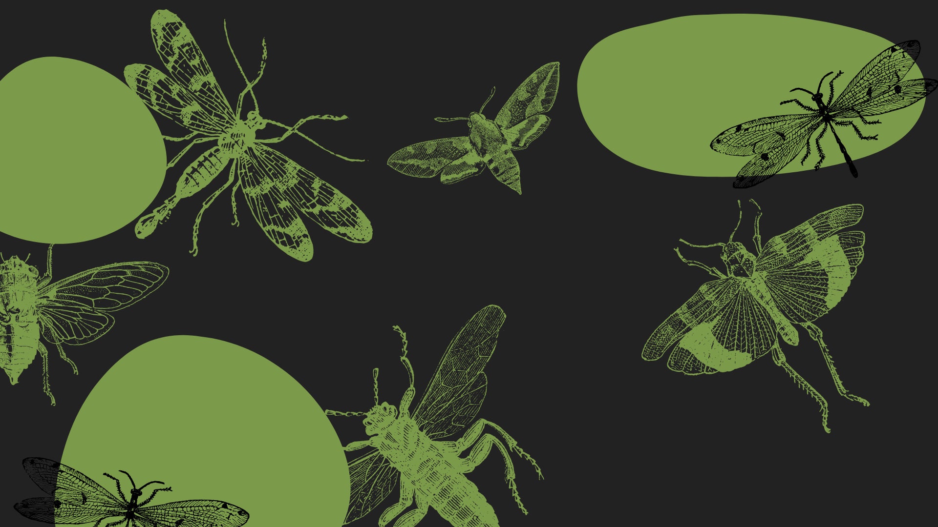 Desktop Wallpaper - Etsy