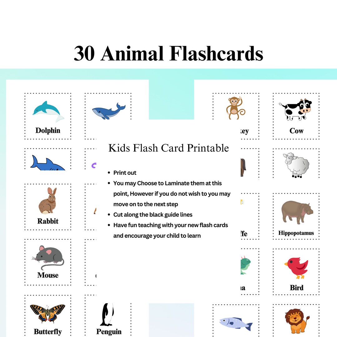 Animal Flash Cards for Toddler Animals Flash Card Learning - Etsy
