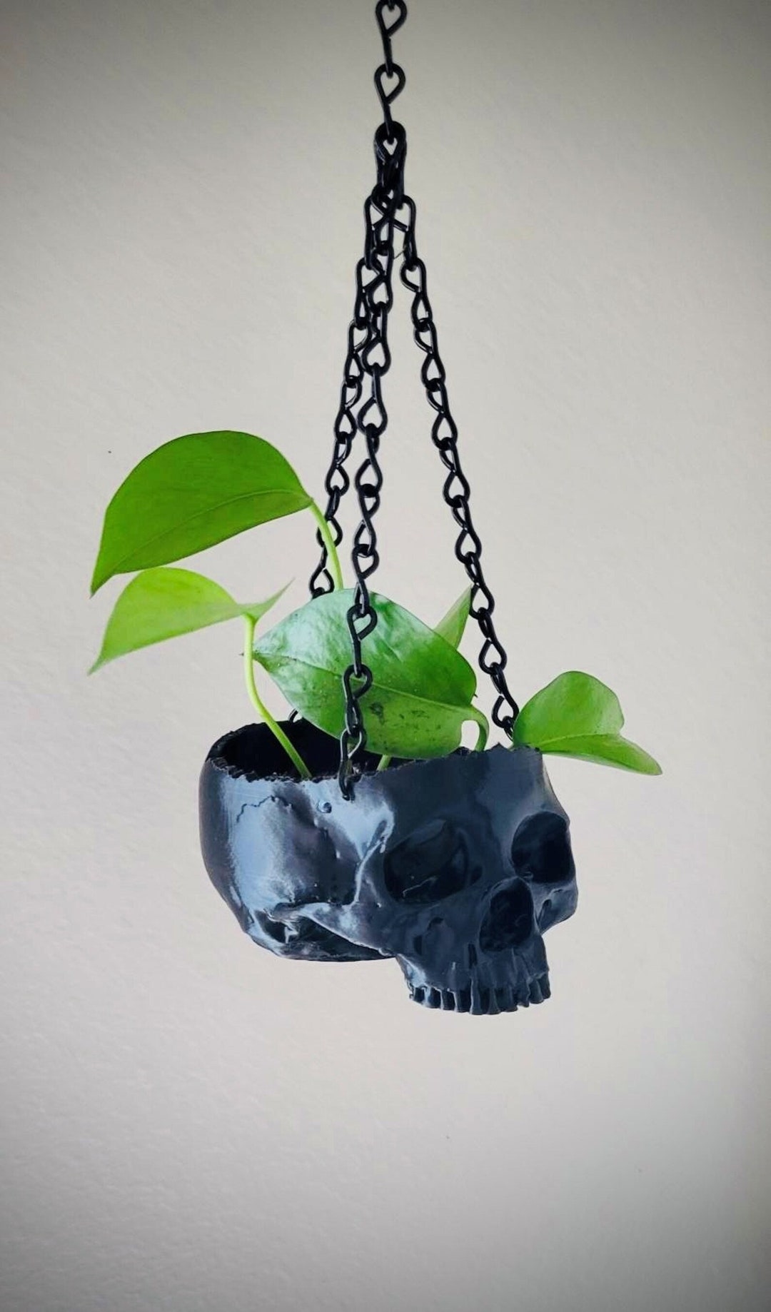 Hanging Skull Planter With Chain Glow in the Dark Skull Planter 3D ...