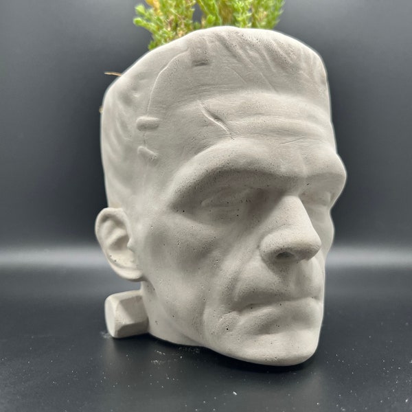 Monster Plant Pot - Etsy