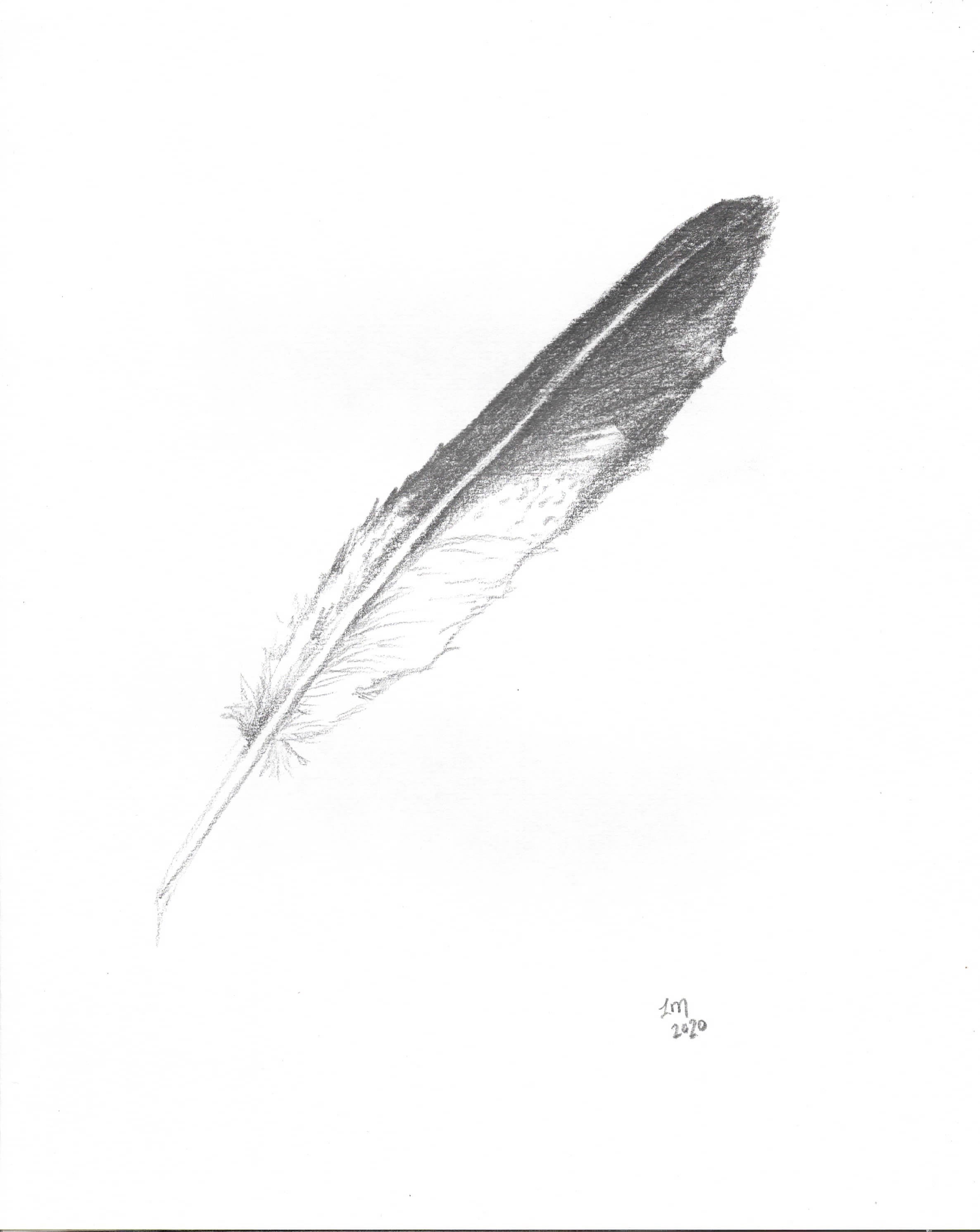 Eagle Feather Drawings
