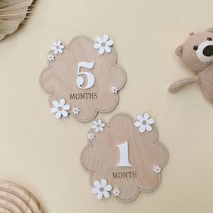 Daisy Flower Milestones | Baby Milestones | Monthly Milestones Marker ...