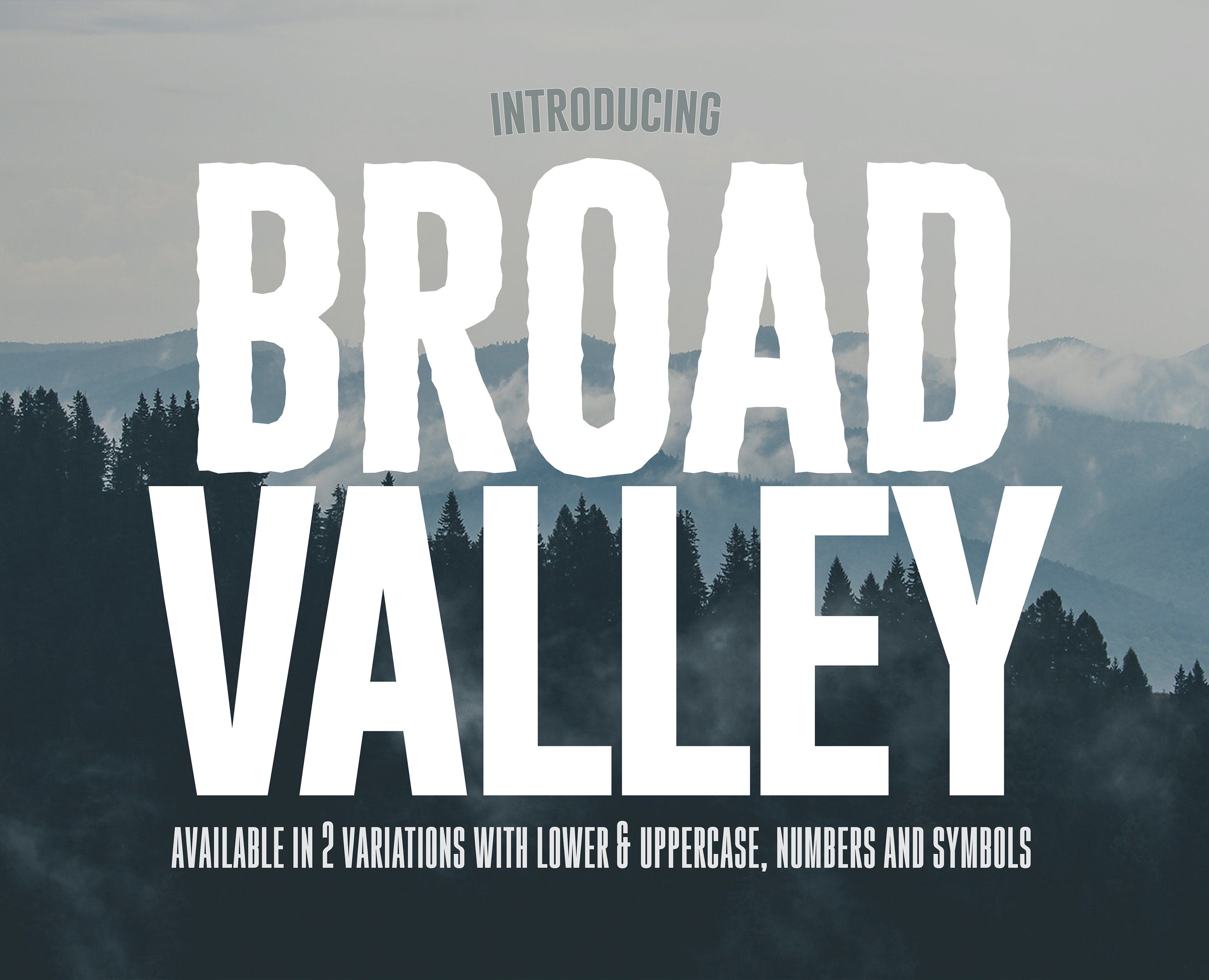 Broad Valley Font - Etsy