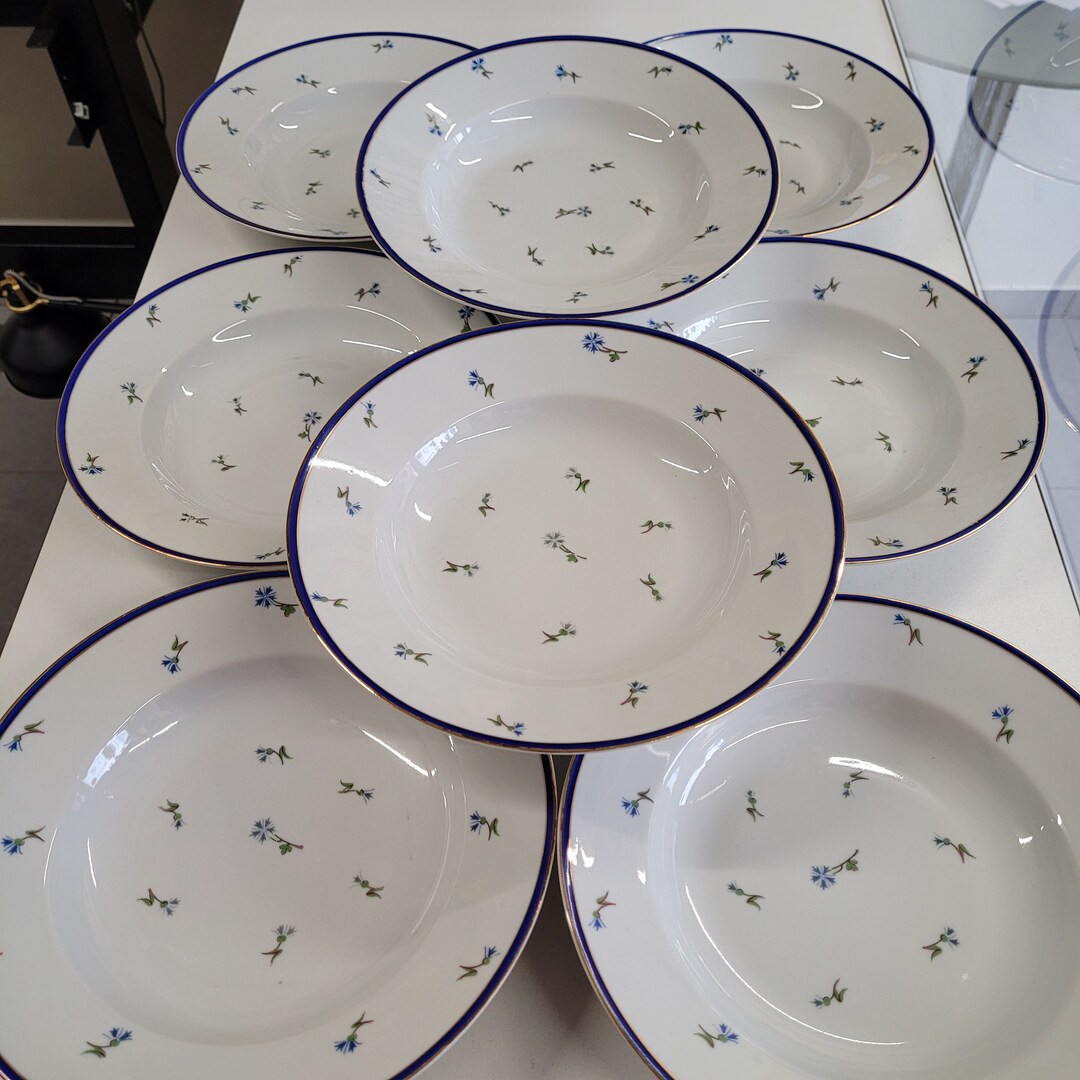 Vintage Porcelain Soup Dinner Plates CERABEL BELGIUM FLORAL. the Price ...