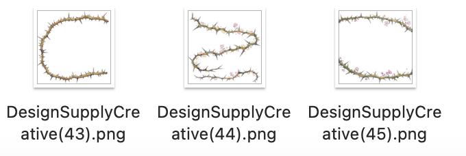 45 PNG Overlay Flower Thorns Thorny Vine Poster Gothic Border Frame ...