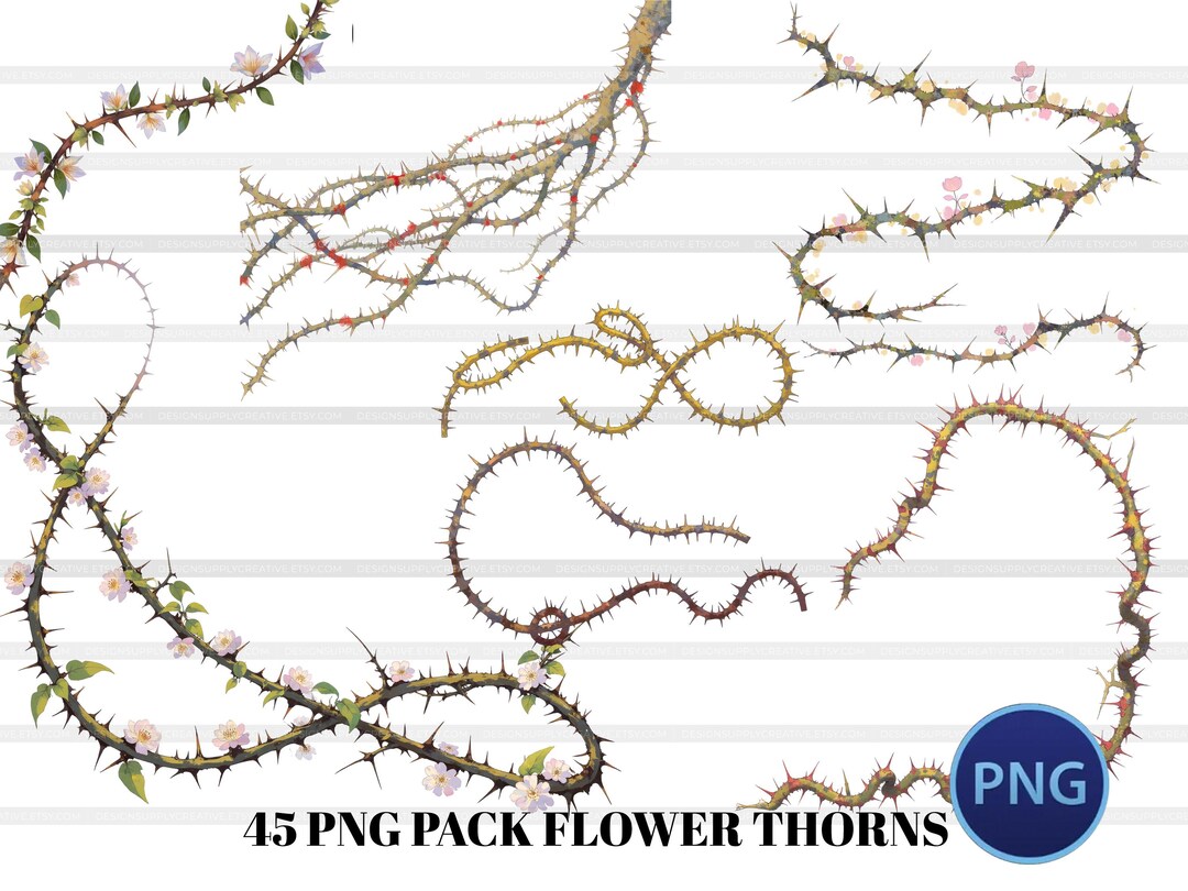 45 PNG Overlay Flower Thorns Thorny Vine Poster Gothic Border Frame ...