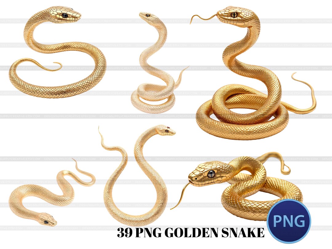 39 Png PS Photoshop New Year of the Snake Golden Snake Image Vector ...