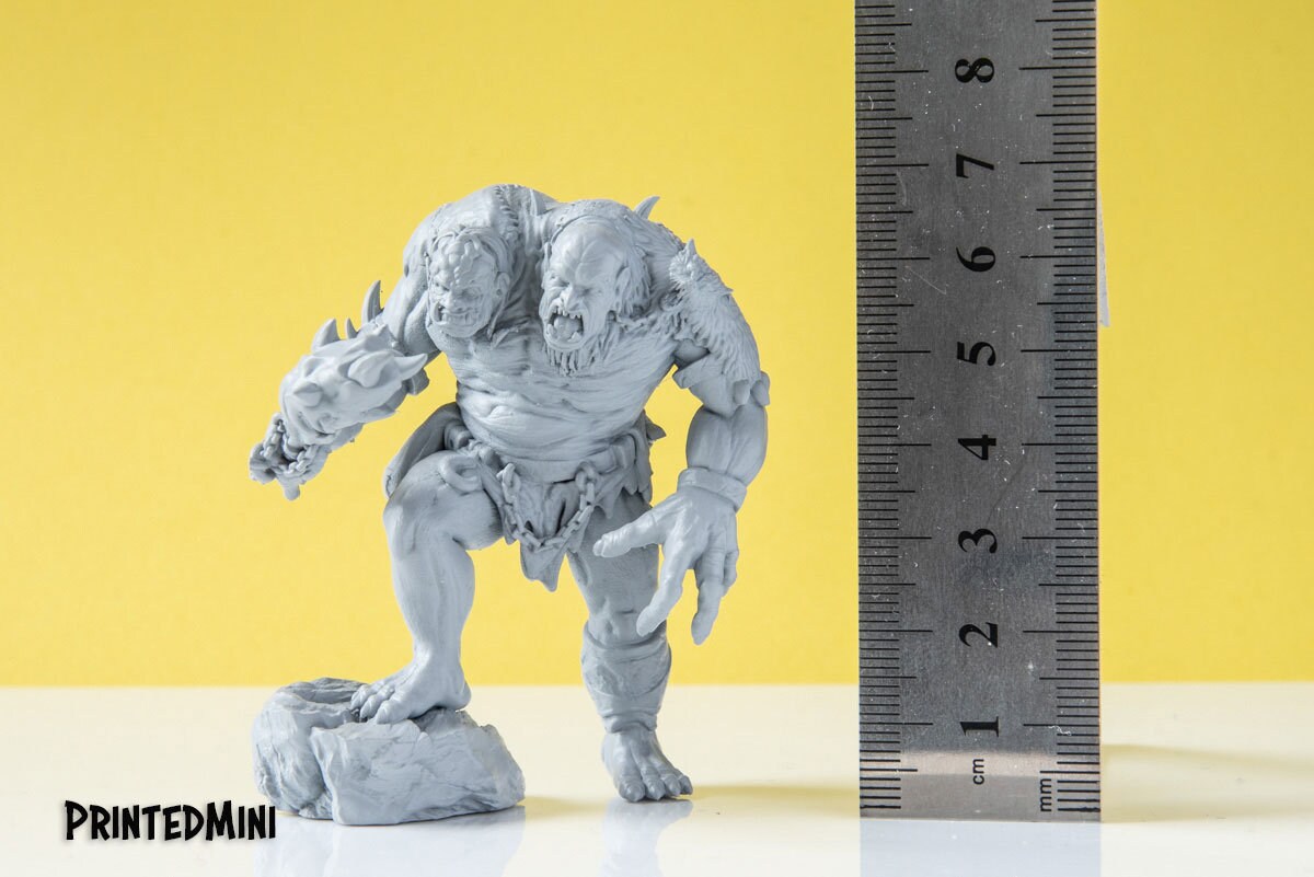 Ettin 3D Printed Miniature Fantasy Miniature Tabletop - Etsy UK