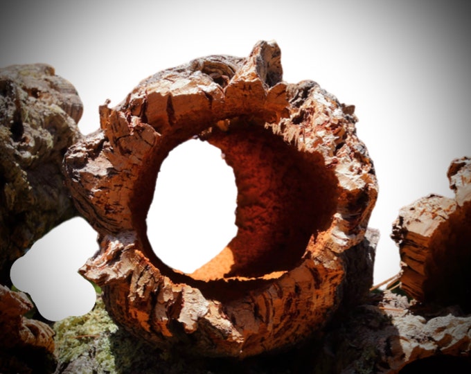 Cork Bark Rounds 2 Lbs - Animal Hides in a Terrarium / Vivarium - Etsy