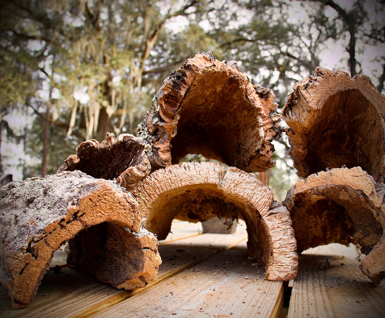 Half Round Cork Bark Animal Hides - Etsy