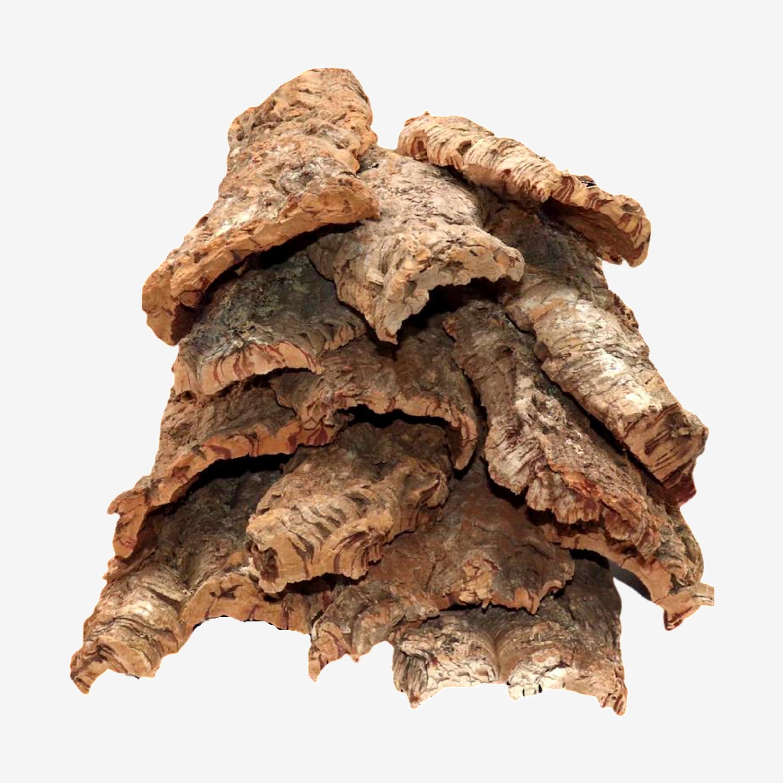 Bulk Cork Bark Flats Terrarium Vivarium Orchid Air Plant Mount Reptile ...
