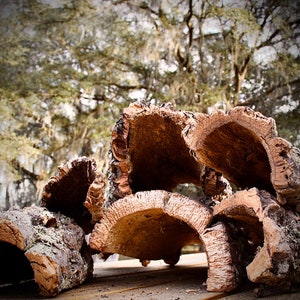 Half Round Cork Bark - Animal Hides - Etsy