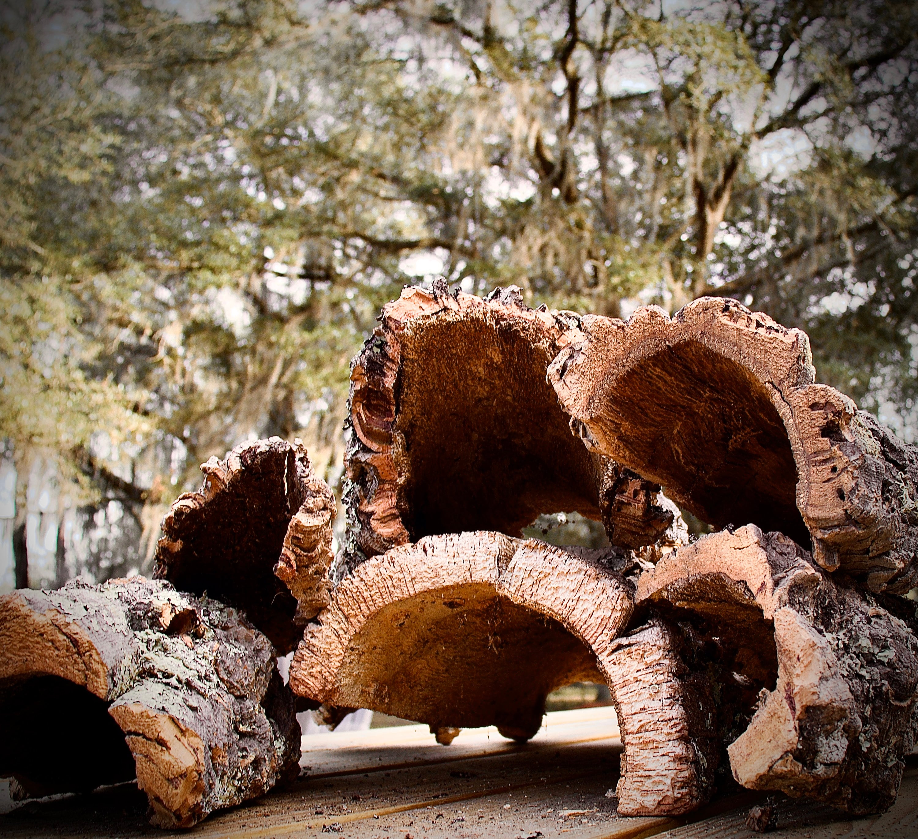 Half Round Cork Bark Animal Hides - Etsy