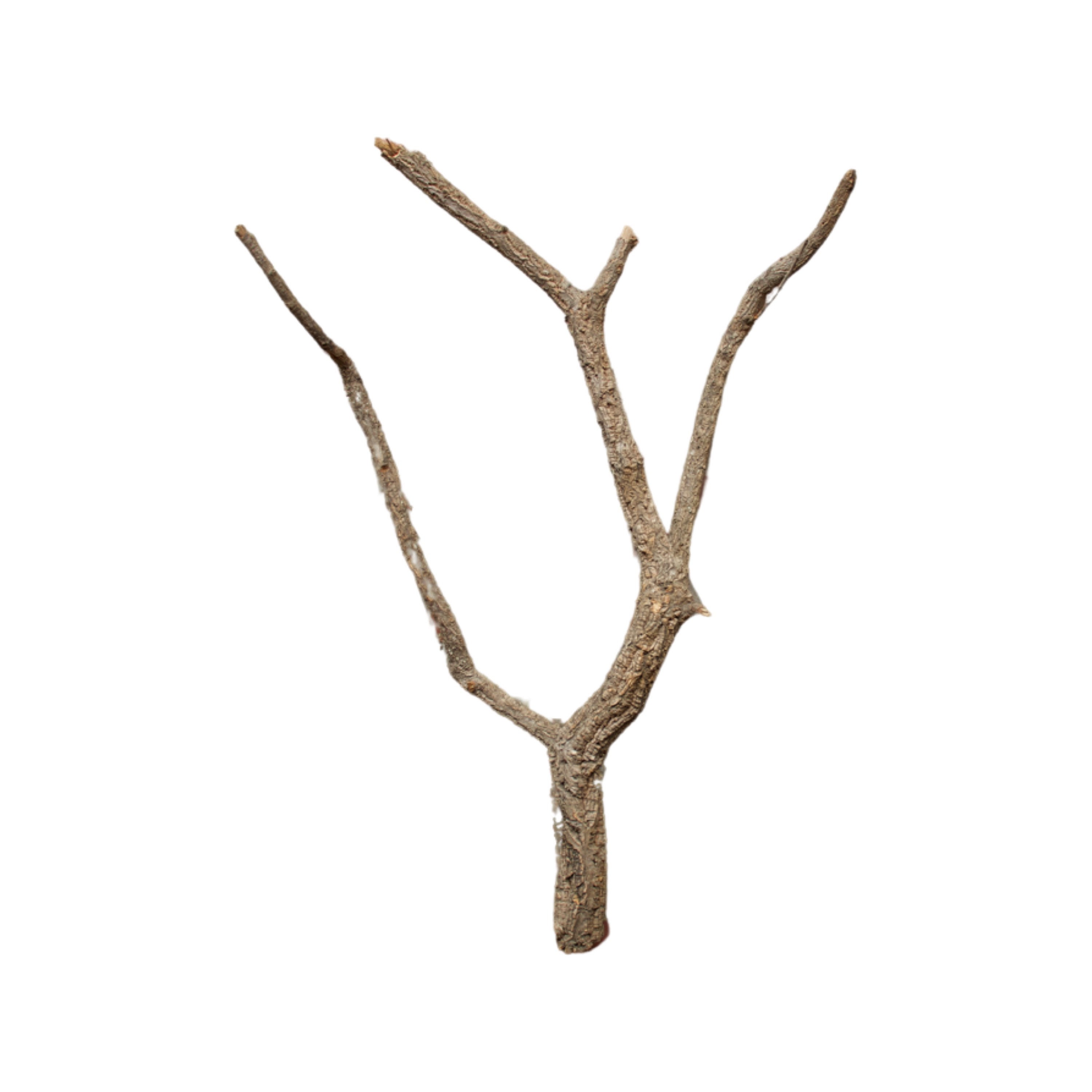 Cork Branches for Cage - Etsy New Zealand