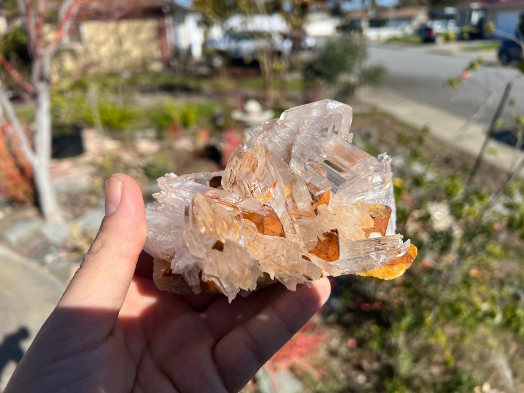 Museum Diamond Clear Selenite Crystal Mineral Specimen (5x4x3.5 Inch ...