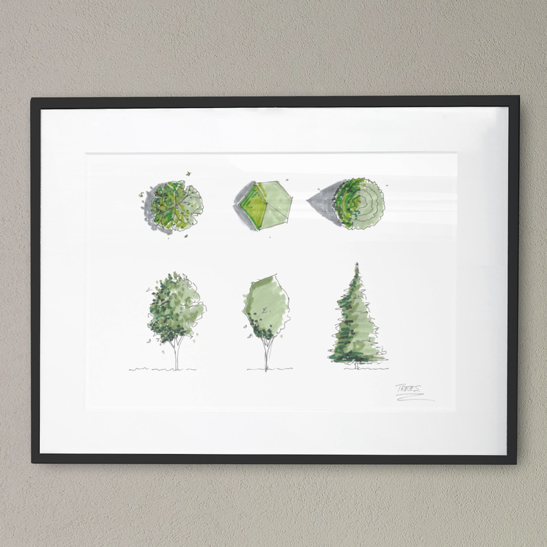 Our Hand Drawn Illustration of 3 Tree Forms, It Looks Stunning as a ...