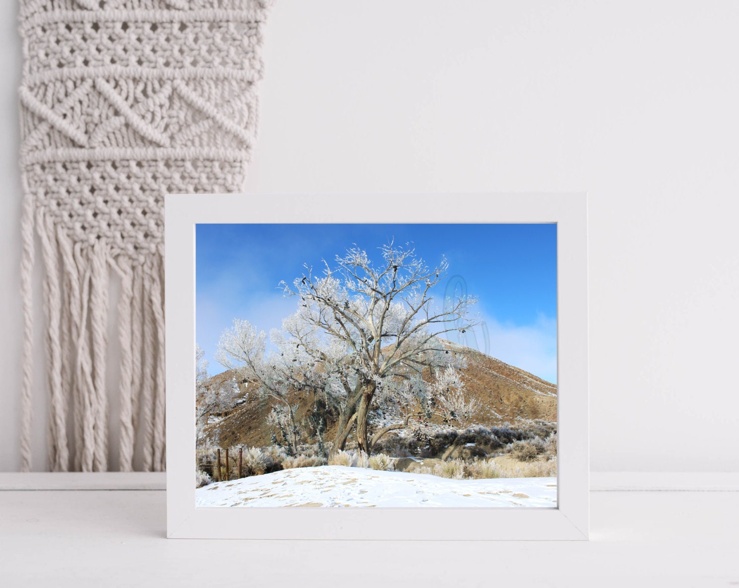Shoe Tree Fallon Nevada Digital Download - Etsy