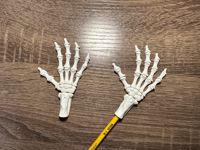 3D Printed Articulated Hand Pencil Toppers Skeleton & Regular Hands - Etsy
