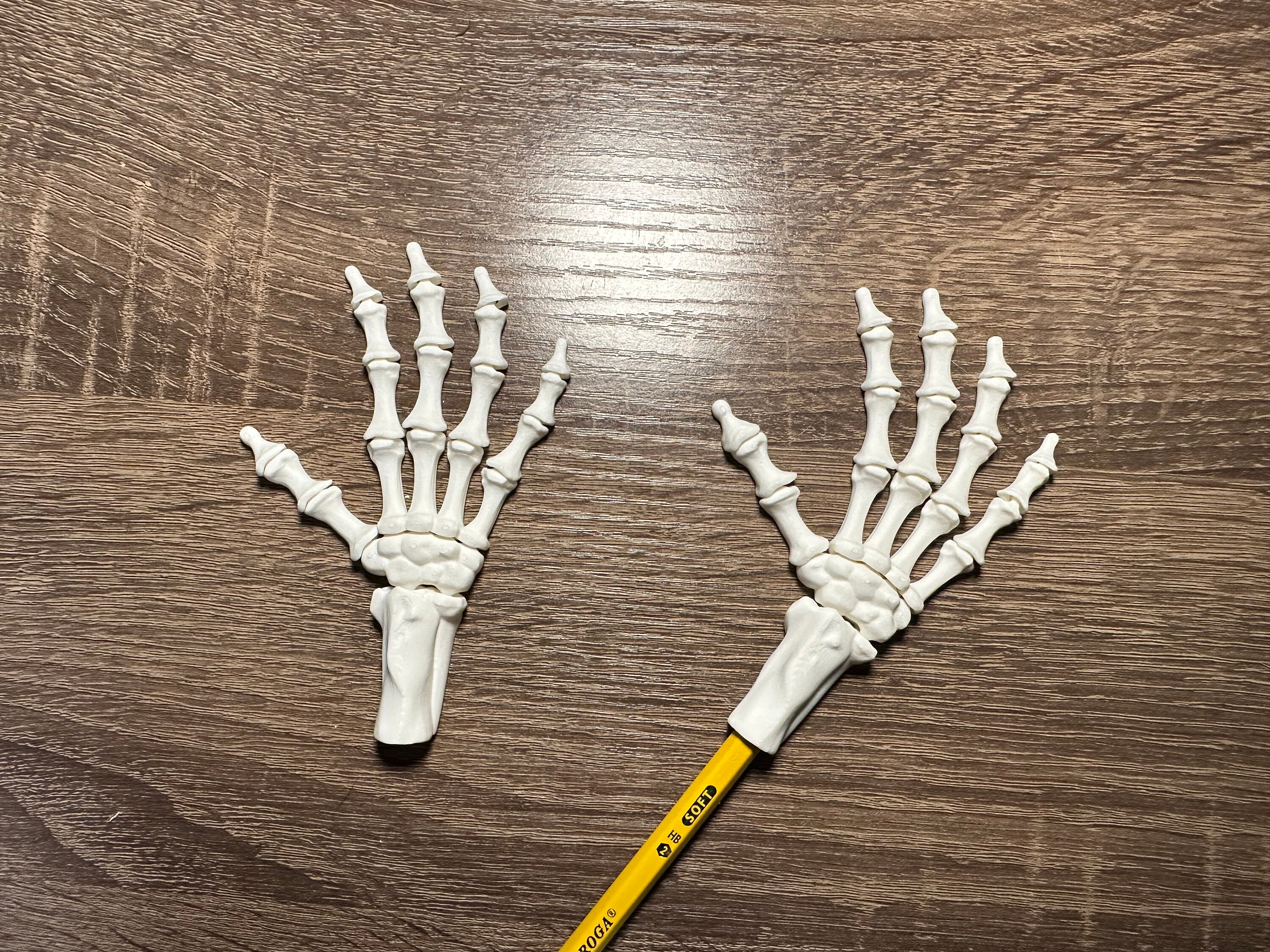 3D Printed Articulated Hand Pencil Toppers | Skeleton & Regular Hands ...