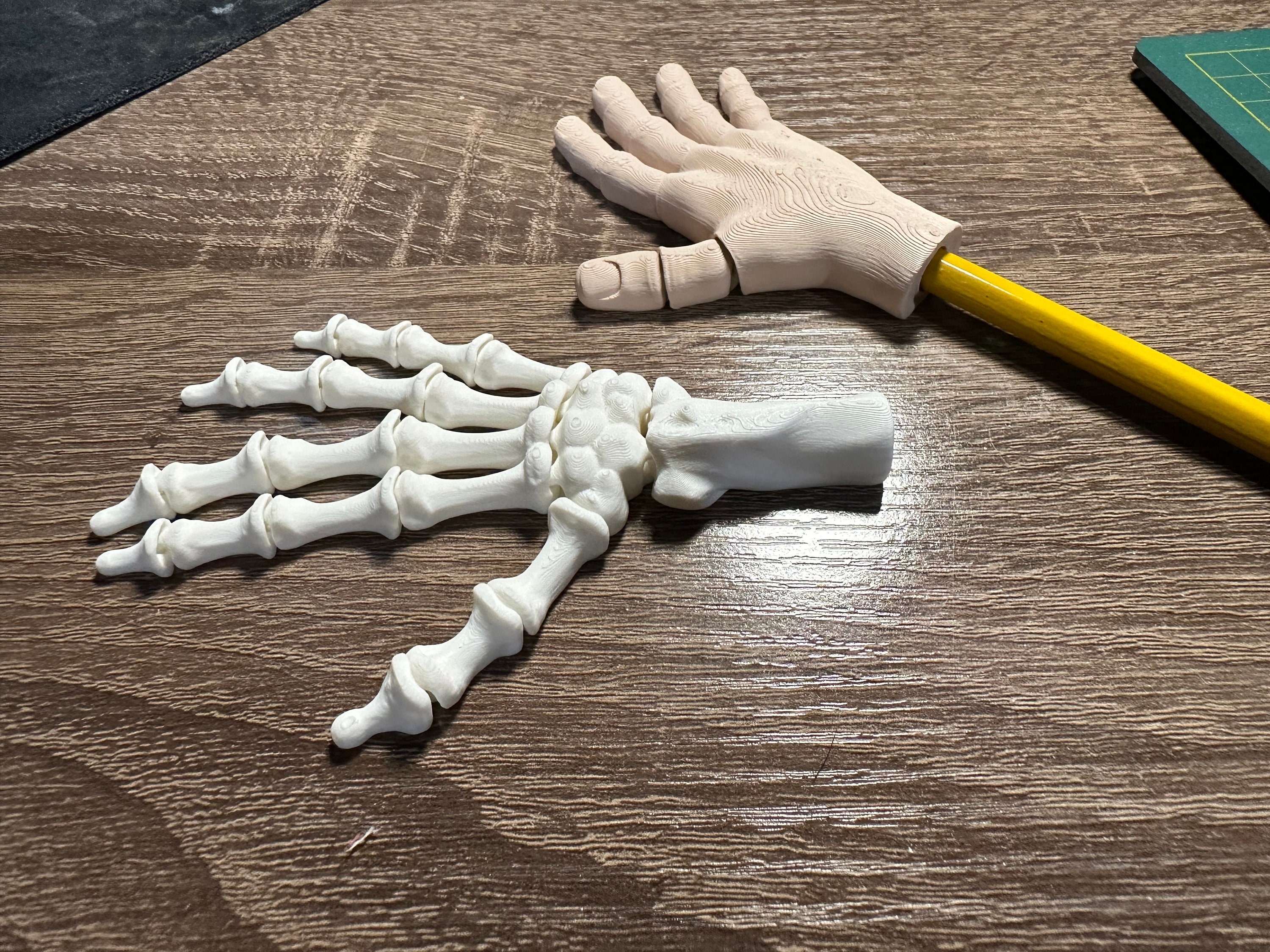 3D Printed Articulated Hand Pencil Toppers Skeleton & - Etsy
