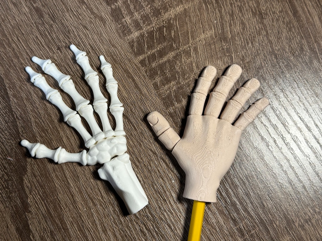 3D Printed Articulated Hand Pencil Toppers | Skeleton & Regular Hands ...