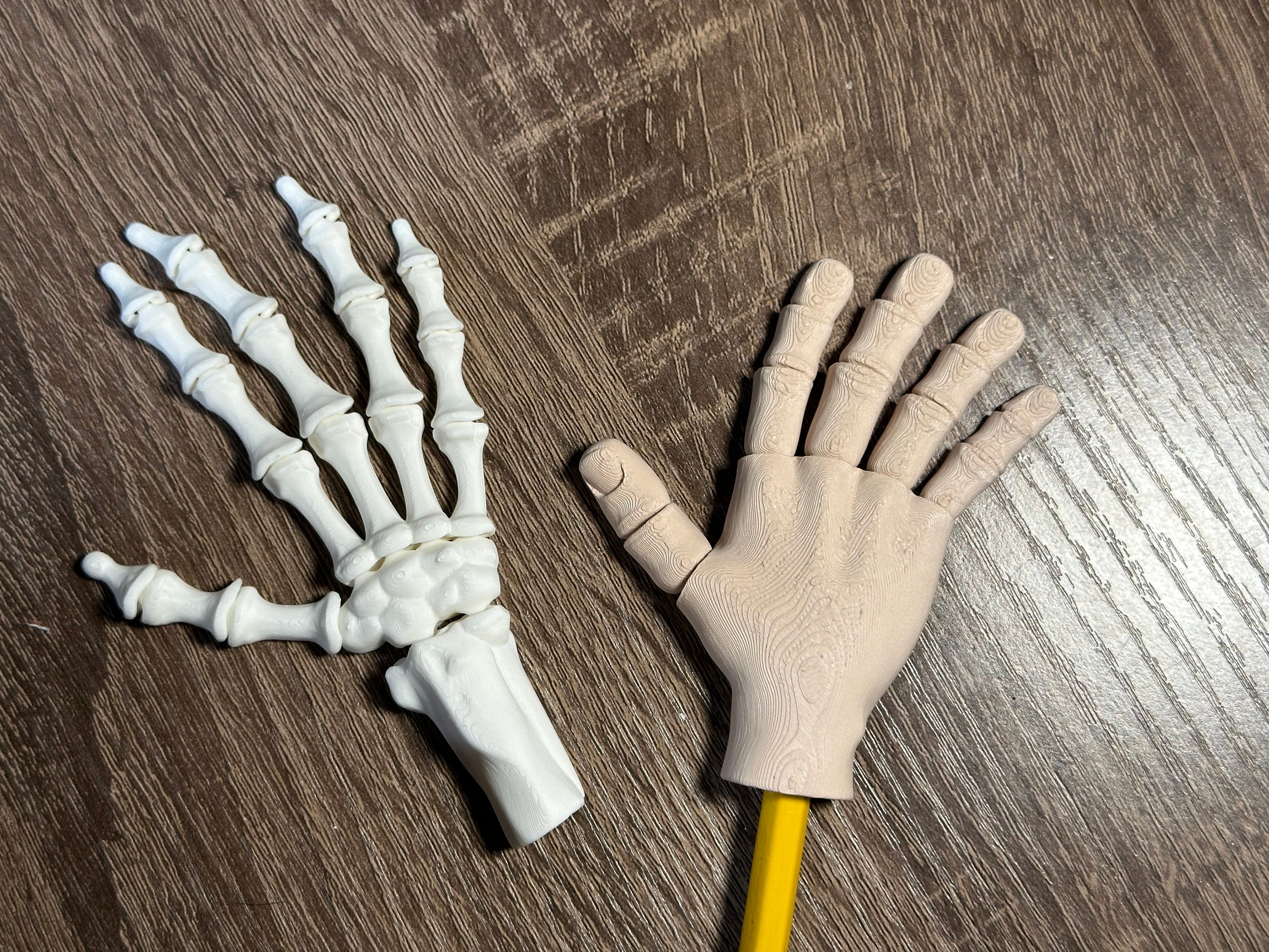 3D Printed Articulated Hand Pencil Toppers Skeleton & Regular Hands - Etsy