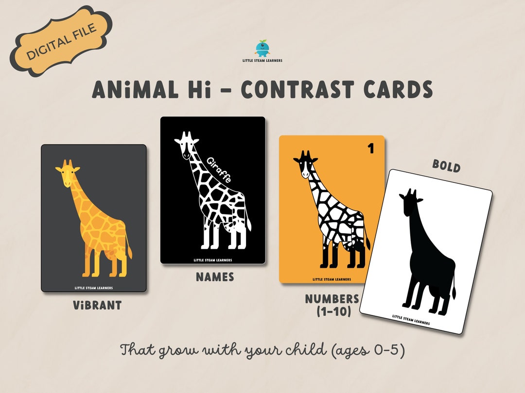 Animal High Contrast Flashcards: Visual Stimulation & Learning (digital ...
