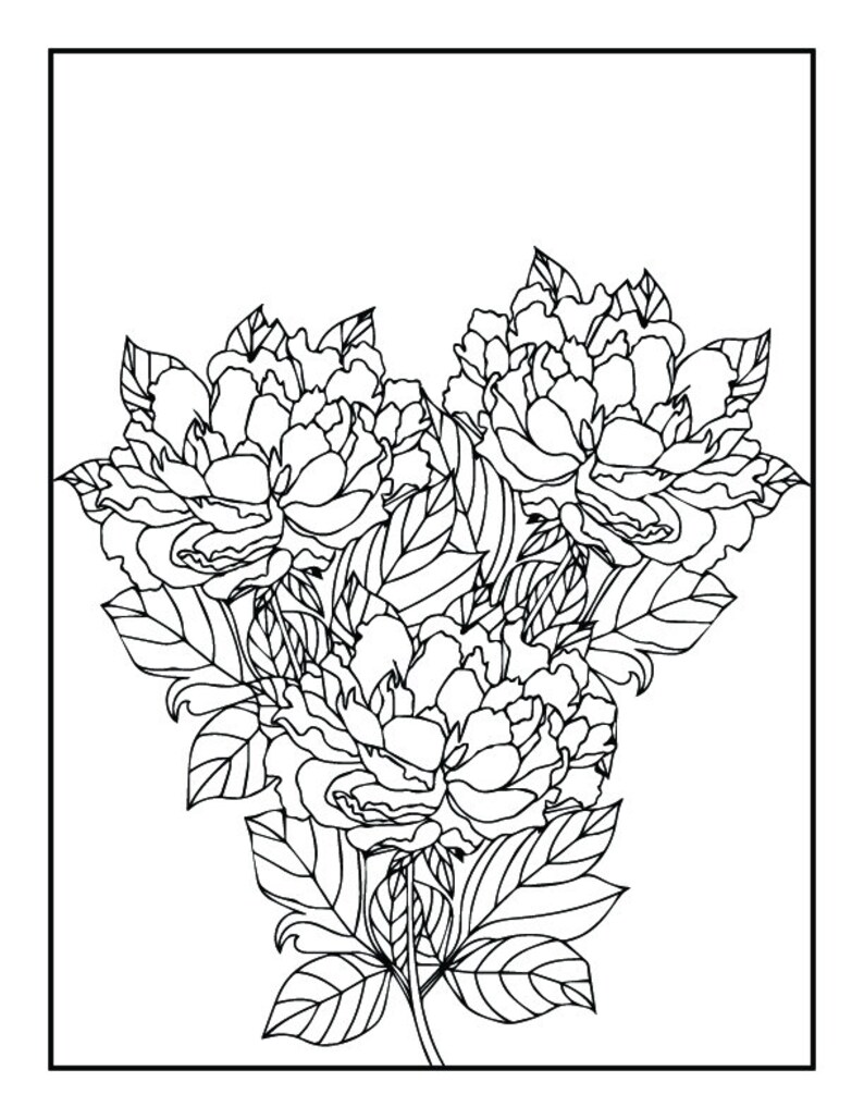 Beautiful Flower Coloring Pages for Kids & Adults - Etsy