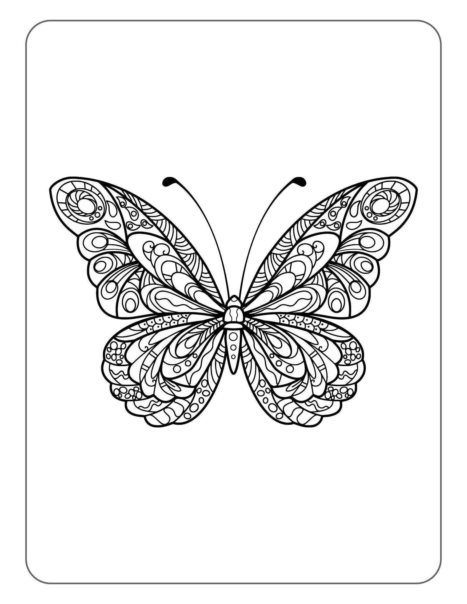 Printable Butterfly Coloring Pages for Adults - Etsy