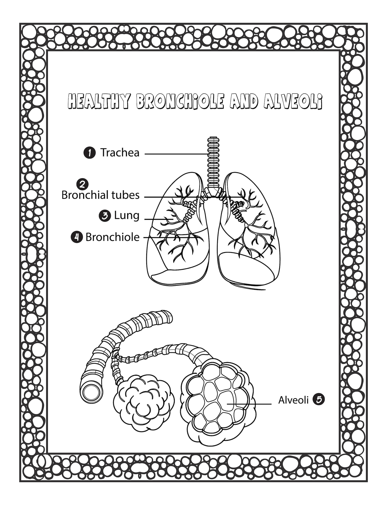Human Body Organs Coloring Pages for Kids: Human Body Organs Coloring ...