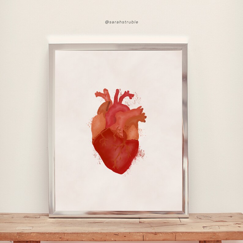 Heart Anatomy Print, Anatomy Art, Watercolor Anatomical Heart Printable ...